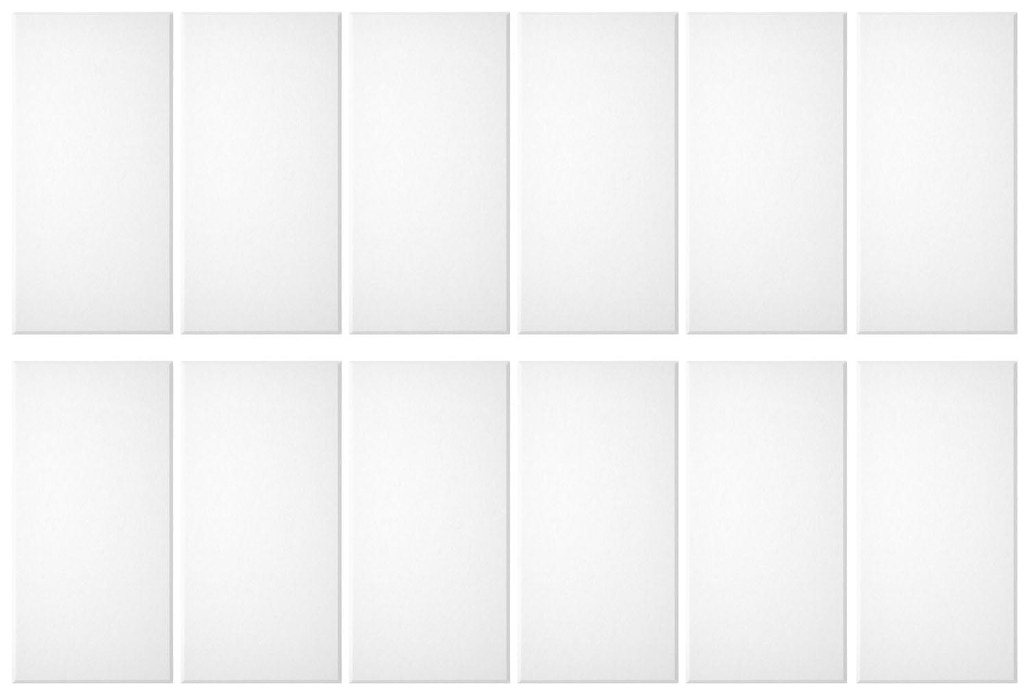 Primacoustic E121-1224-21 EcoScapes Beveled 12 x 24 x 1 Inch Acoustic ...