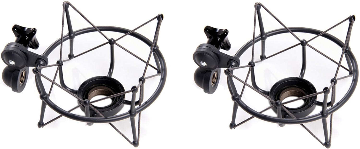 Neumann TLM-103-MT-STEREO Stereo Pair of TLM 103 MT Microphones and EA ...