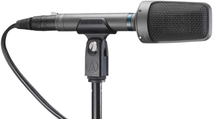 Neumann U 89i Multi-Pattern Condenser Microphone