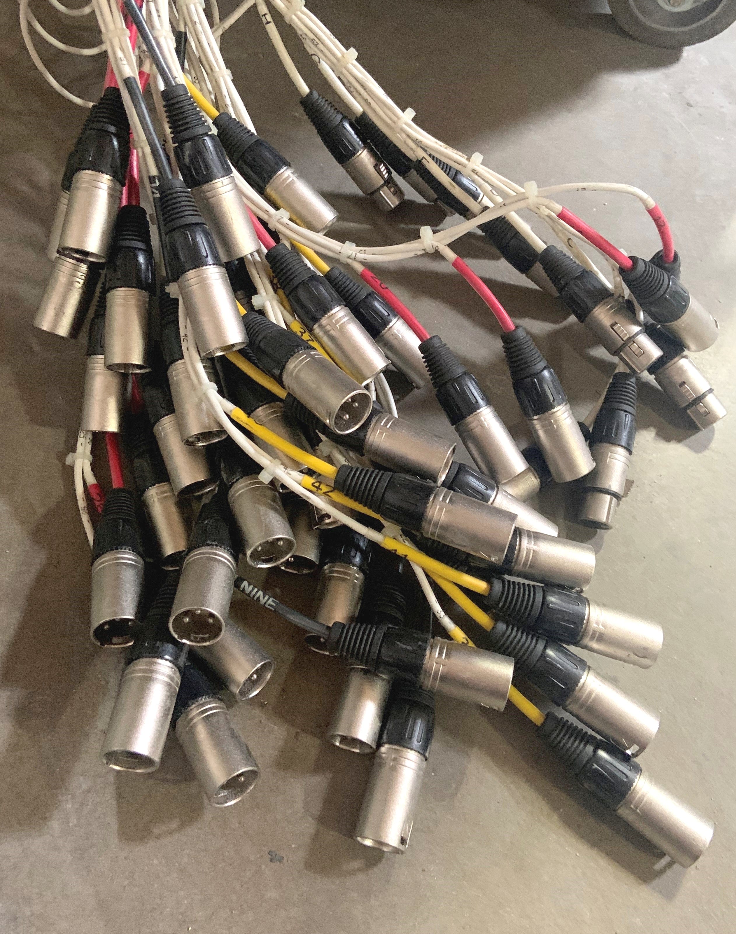 Radial Convertible V12 50 Channel Split Snake System.