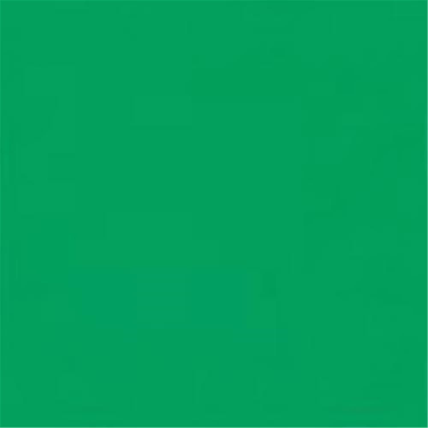 ADJ American DJ Professional Color Filter Green – Solotech
